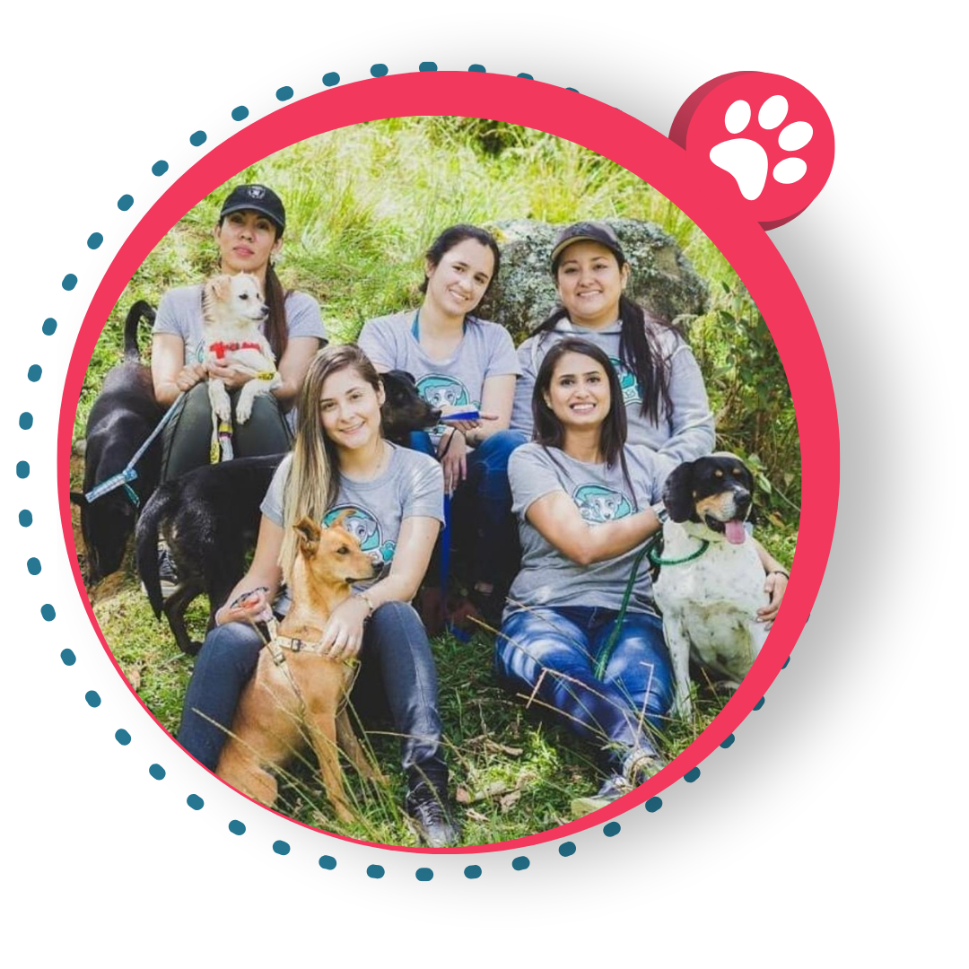 Contáctenos – Huellitas Felices